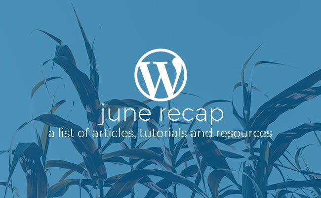 WordPress Dev Monthly Recap June 2019 - Since1979